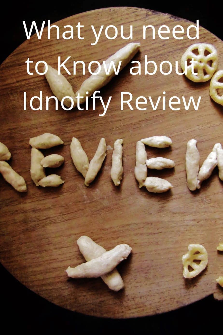 What you need to Know about Idnotify Review – Securities Cameras