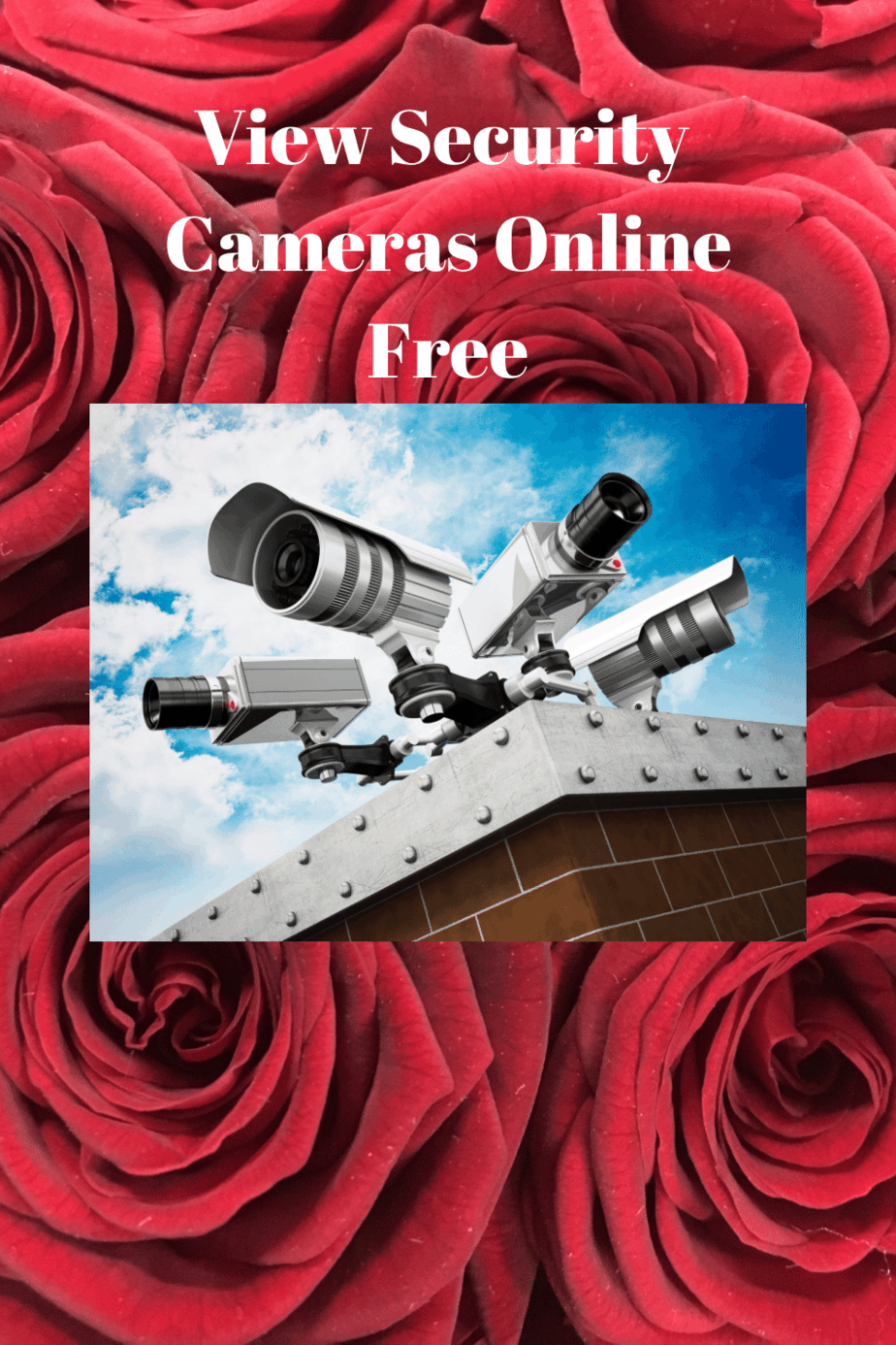 View Security Cameras Online Free – Securities Cameras