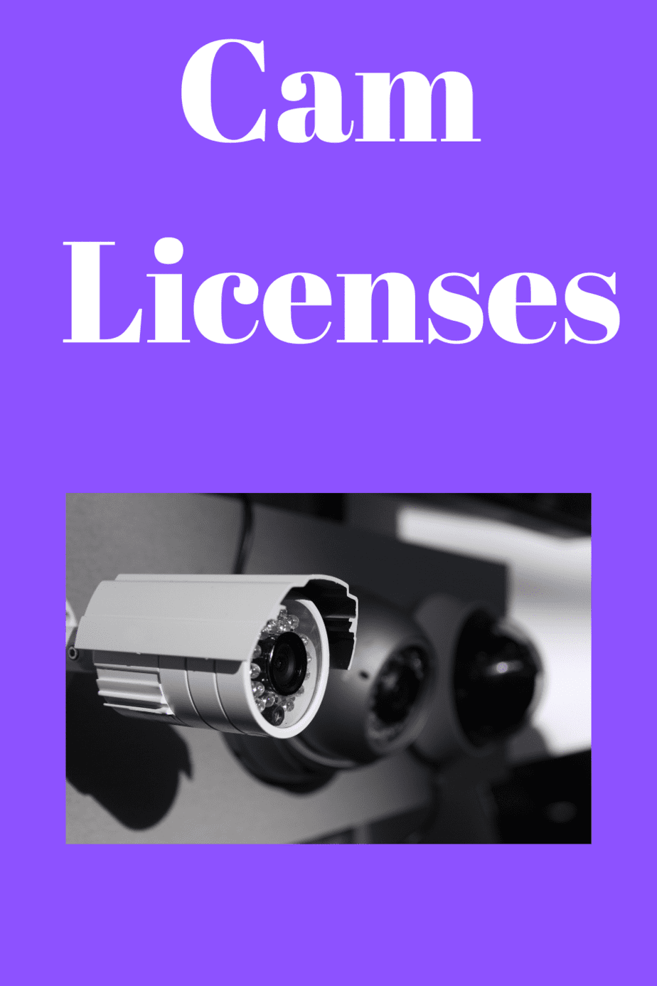 Cam Licenses – Securities Cameras