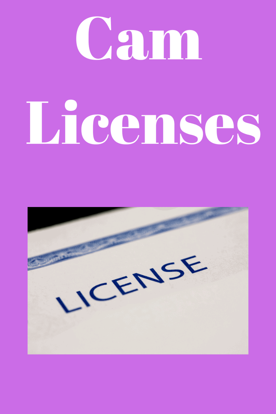 Cam Licenses – Securities Cameras